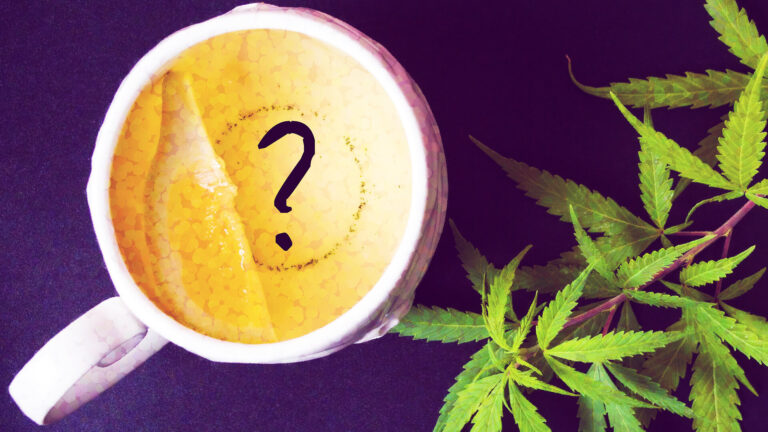 How To Make Weed Stem Tea: 6 Easy Steps